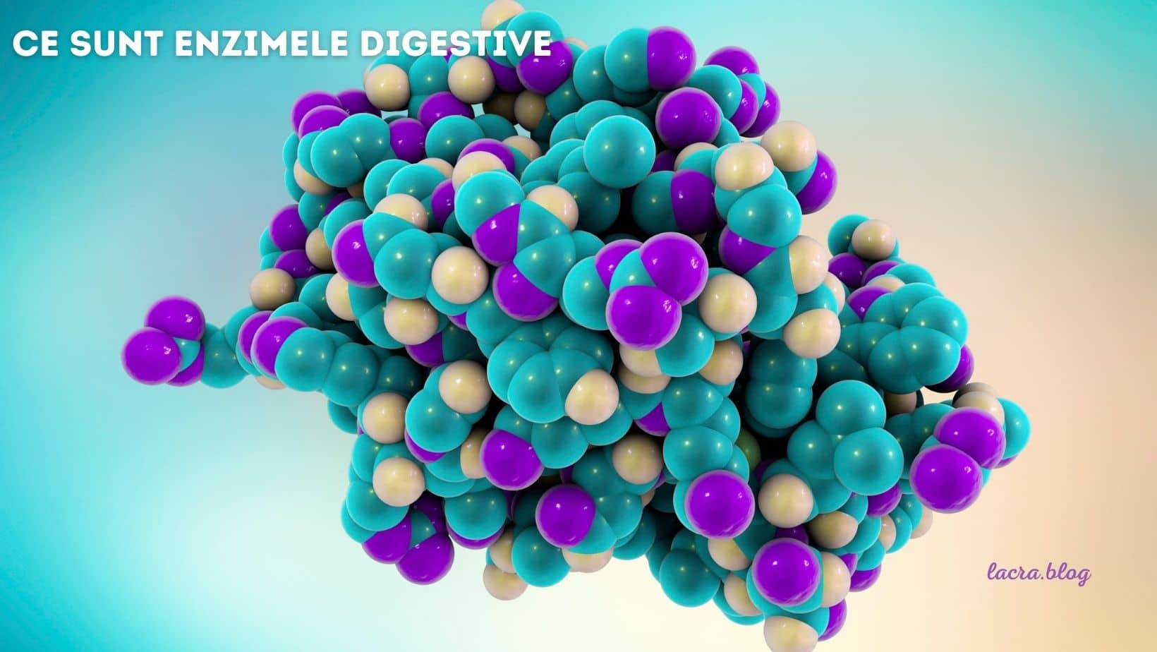 Ce sunt enzimele digestive - si cum te pot ajuta